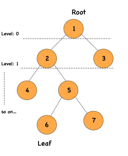 Introduction to Trees - NamasteDev Blogs